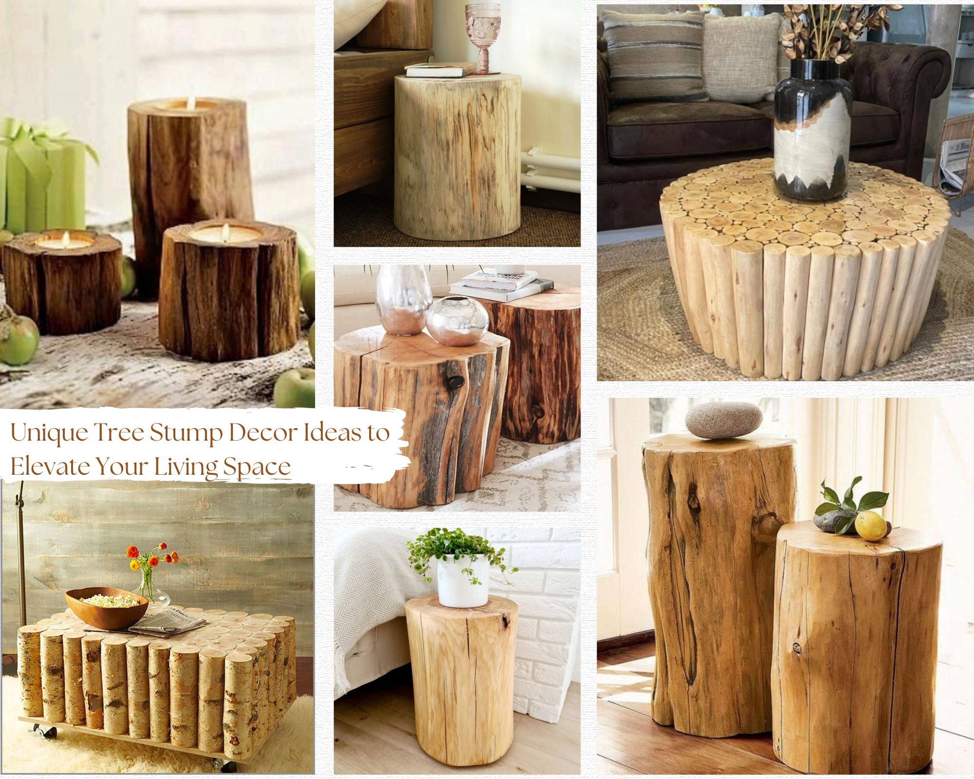10 Unique Tree Stump Decor Ideas to Elevate Your Living Space | My ...
