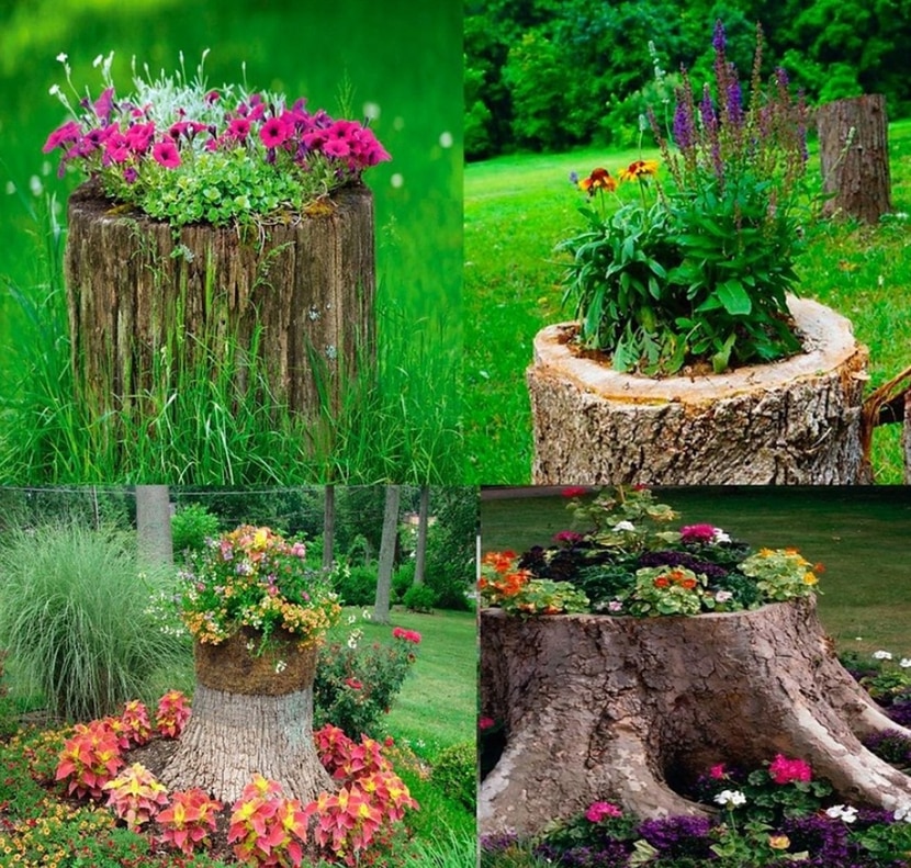 DIY Plant Pots from Tree Stumps | Unique Garden Decor Ideas | My ...