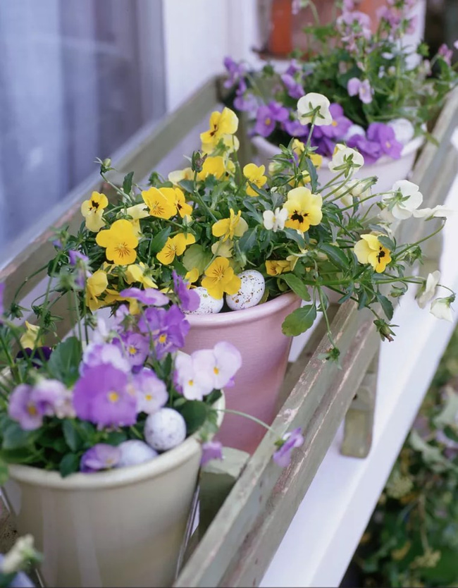 60 Wonderful ideas to liven up your garden this spring | My desired home