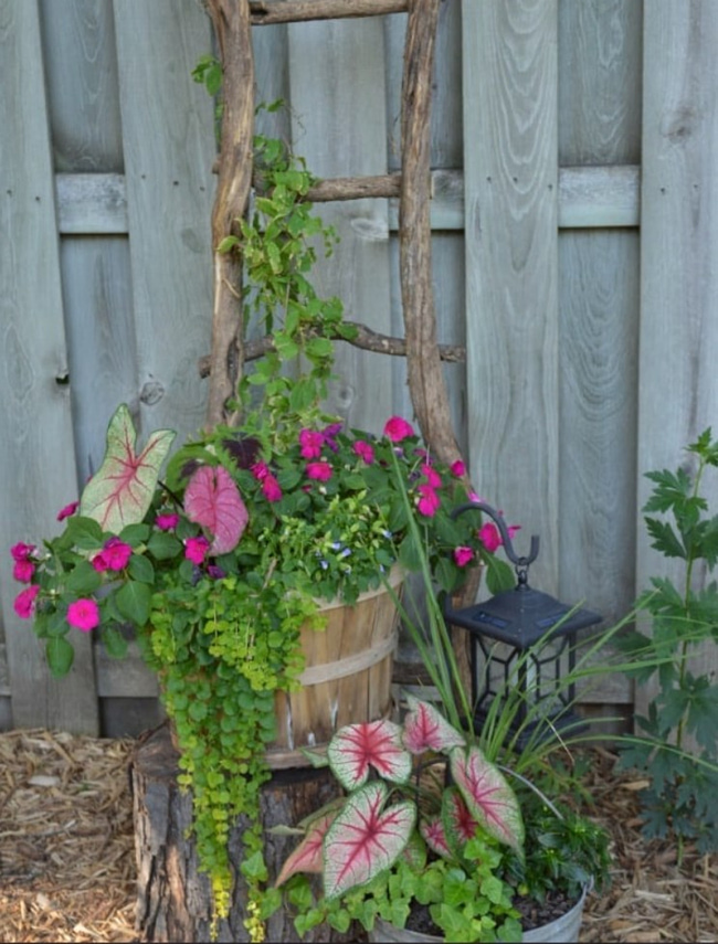 60 Wonderful ideas to liven up your garden this spring | My desired home