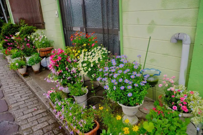 60 Wonderful ideas to liven up your garden this spring | My desired home