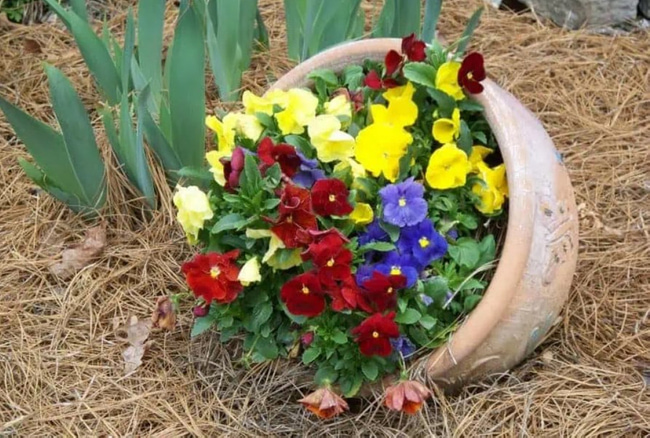 60 Wonderful ideas to liven up your garden this spring | My desired home