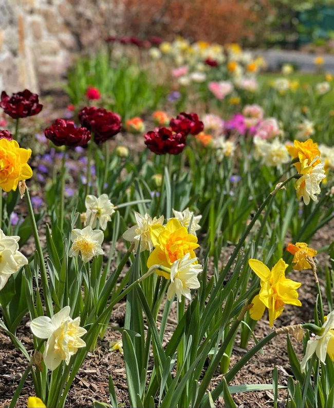 60 Wonderful ideas to liven up your garden this spring | My desired home