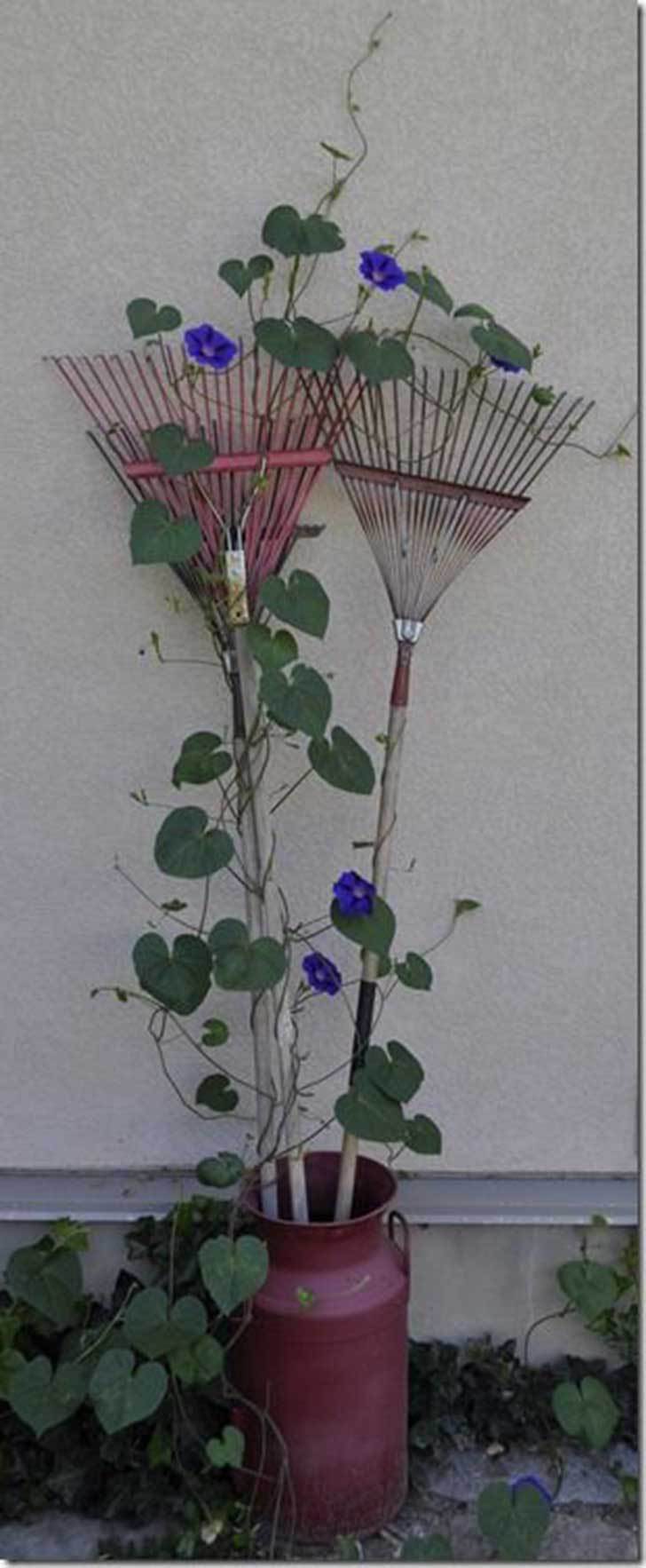 Amazing decoration ideas from an old rake | My desired home