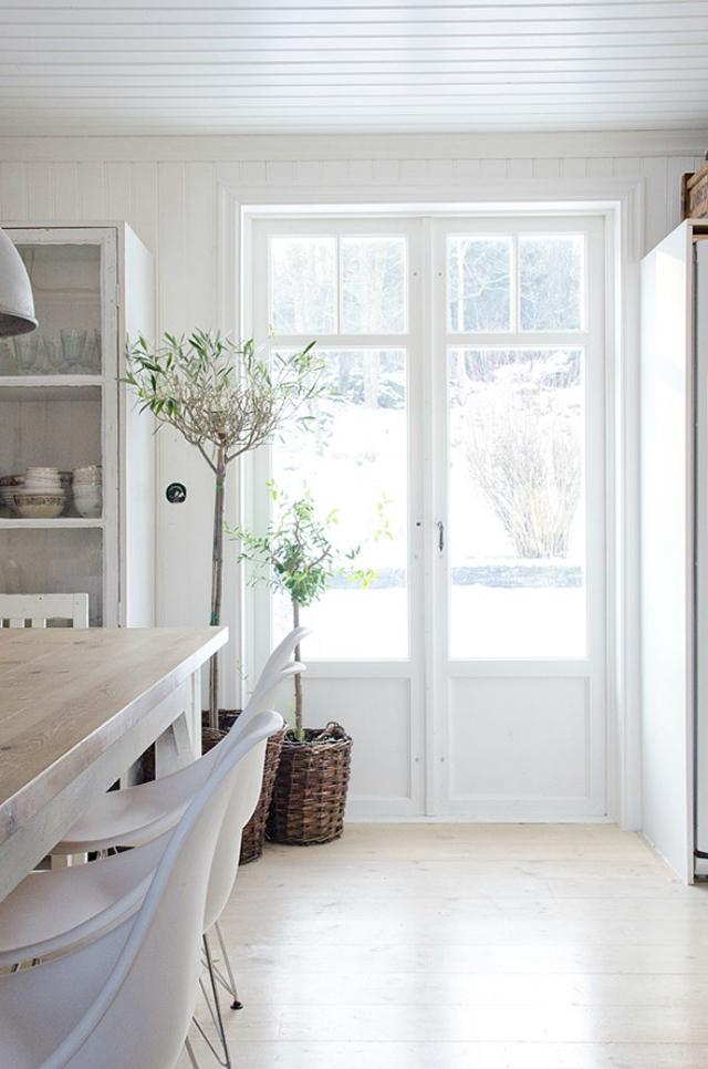 Trend: interior decorating with olive trees | My desired home