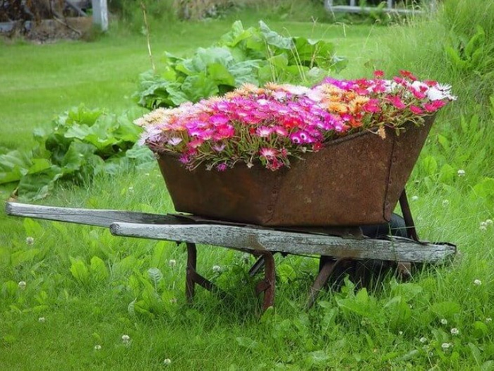 50 Amazing examples of flower beds for inspiration | My desired home