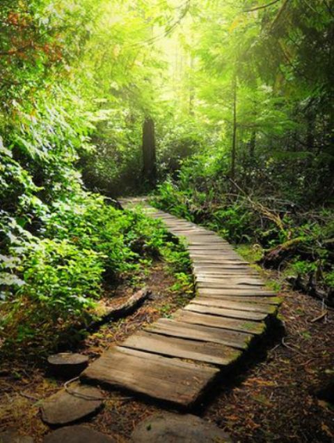 Beautiful ideas of garden paths with wood | My desired home