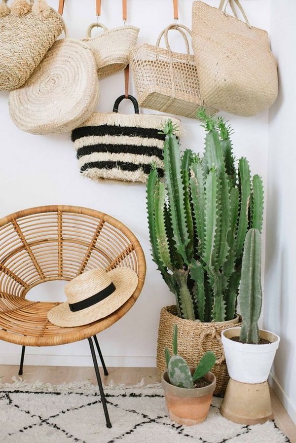 The ultimate ideas for decorating interiors with cactus | My desired home