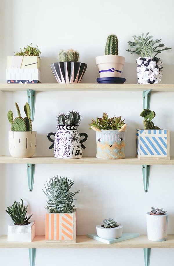 The ultimate ideas for decorating interiors with cactus | My desired home