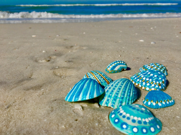 43 Crafts with shells, inspirational ideas for creative minds | My ...