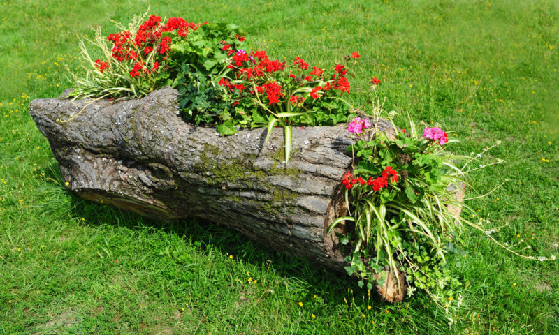 Incredibly beautiful DIY flowerbed ideas from logs - original ...