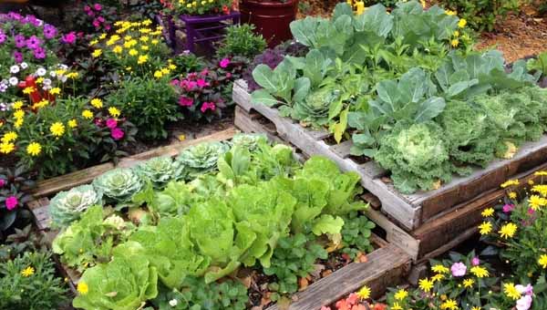DIY vegetable - herb and flower garden design ideas in 76 amazing ...