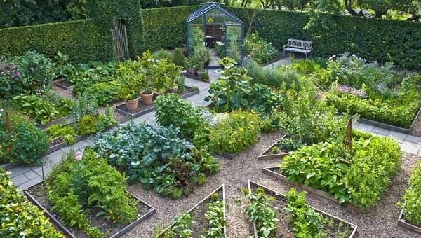 DIY vegetable - herb and flower garden design ideas in 76 amazing ...