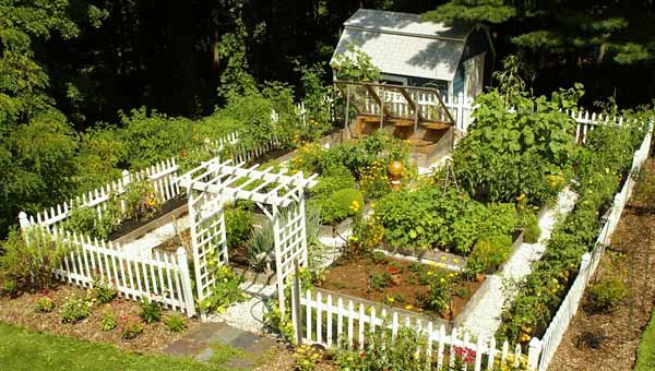 DIY vegetable - herb and flower garden design ideas in 76 amazing ...