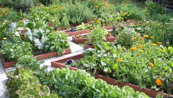 DIY vegetable - herb and flower garden design ideas in 76 amazing ...
