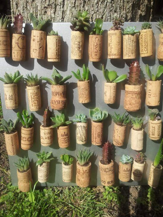 Deco trend Diy ideas: How to plant succulents in corks | My desired home