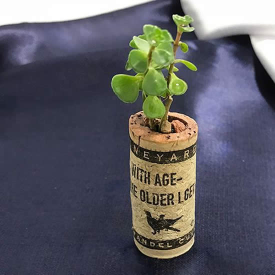 Deco trend Diy ideas: How to plant succulents in corks | My desired home