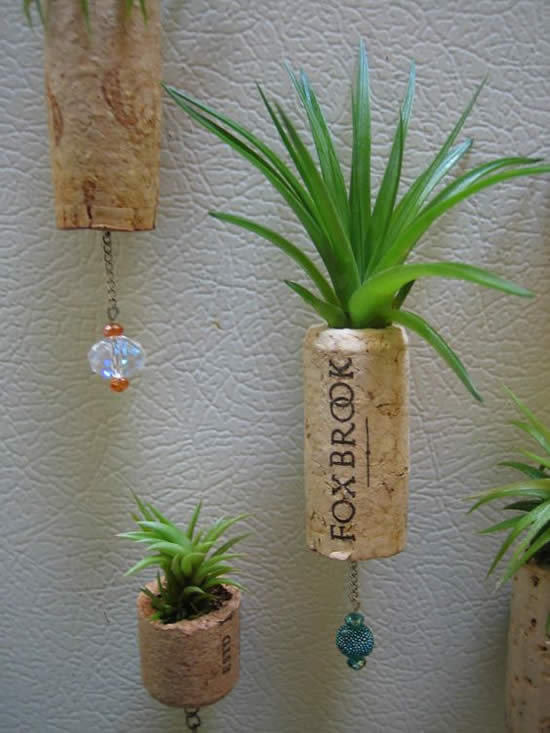 Deco trend Diy ideas: How to plant succulents in corks | My desired home