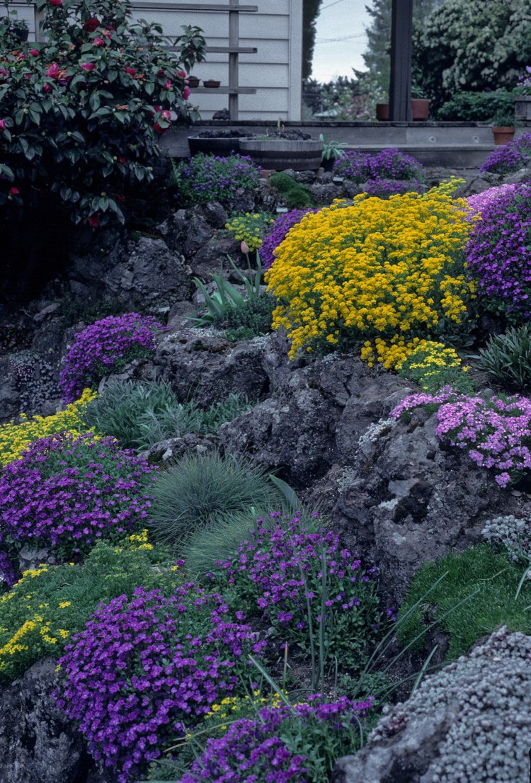 Natural stone with plants in the joints - A great DIY idea that will ...