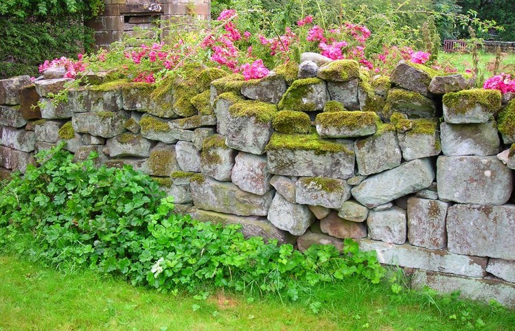 Natural stone with plants in the joints - A great DIY idea that will ...