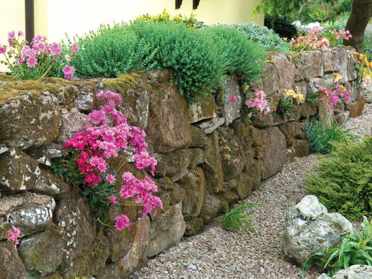 Natural stone with plants in the joints - A great DIY idea that will ...