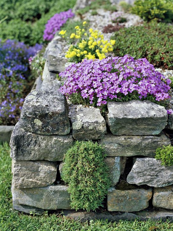 Natural stone with plants in the joints - A great DIY idea that will ...