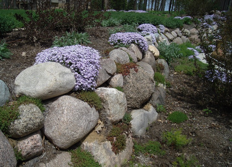 Natural stone with plants in the joints - A great DIY idea that will ...