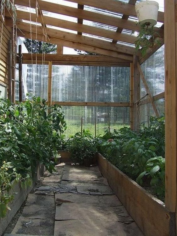 Small greenhouse ideas in the garden and the yard, 63 great ideas for ...