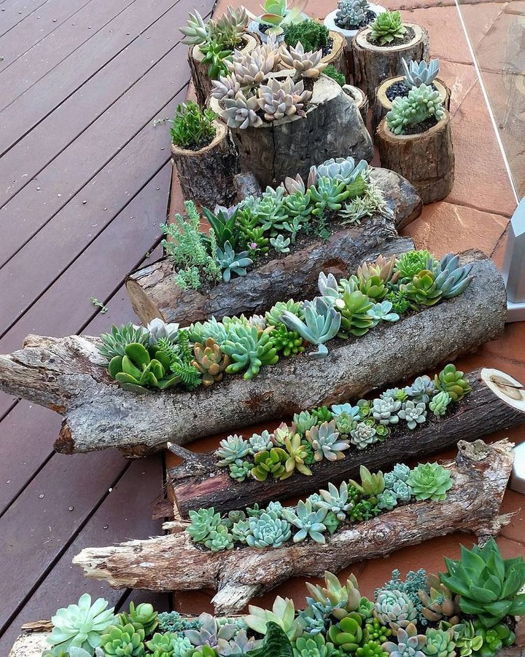 Cool DIY crafts and ideas with succulents that will amaze you | My ...