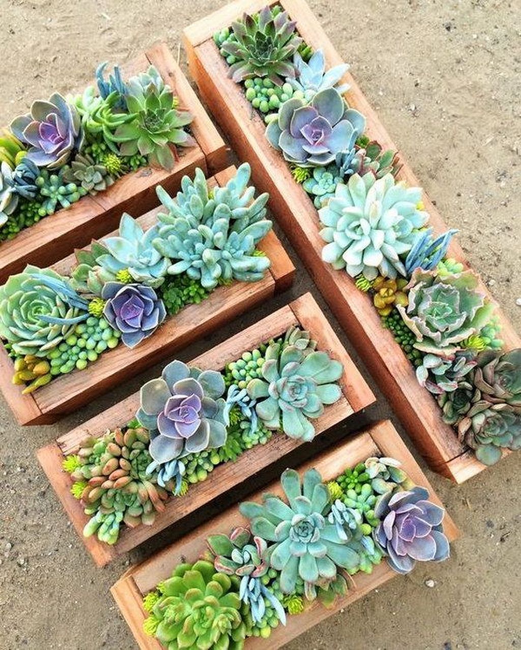 Cool DIY crafts and ideas with succulents that will amaze you | My ...