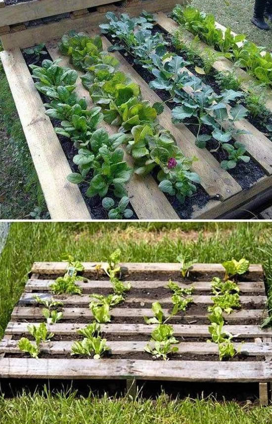 Smart Diy Gardening Ideas On Pallets My Desired Home