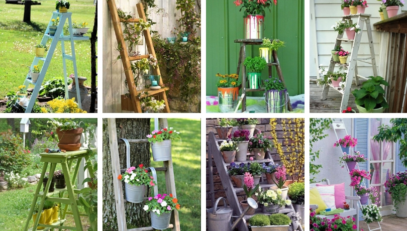Build DIY flower stands yourself - Use old wooden ladders as flower ...