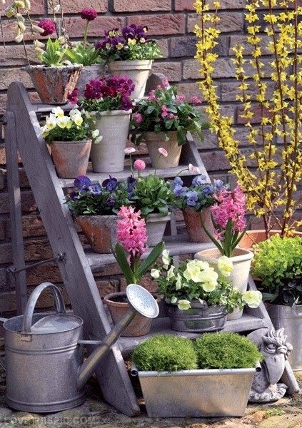 Build DIY flower stands yourself - Use old wooden ladders as flower ...