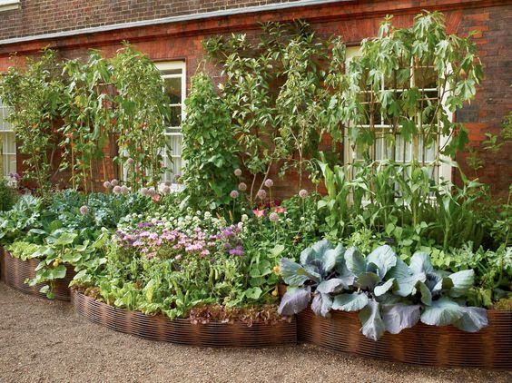 Vegetable garden, raised to the rank of art. 35+ decorative gardens for ...