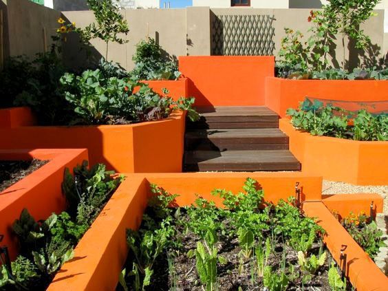 Vegetable garden, raised to the rank of art. 35+ decorative gardens for ...