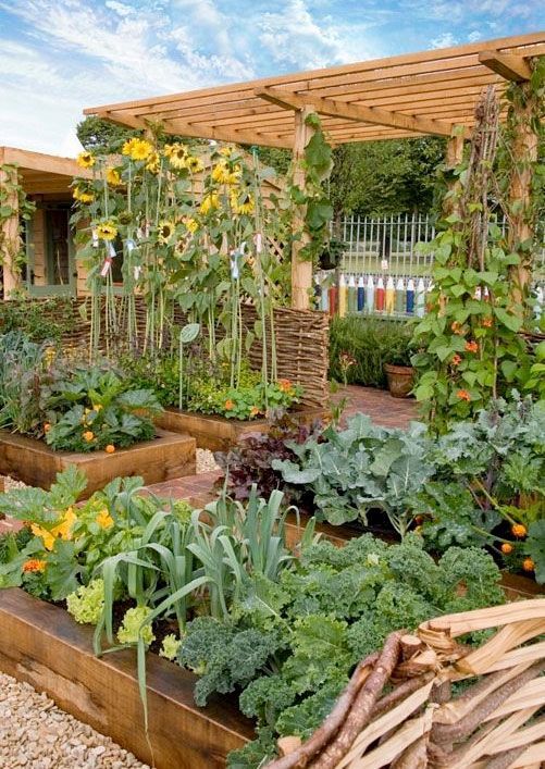 Vegetable garden, raised to the rank of art. 35+ decorative gardens for ...