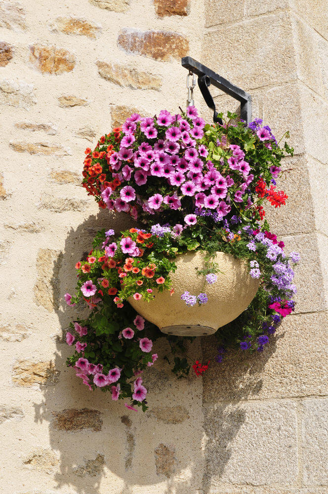 Eye-catching flower compositions in hanging pots - 33 amazing ideas for ...