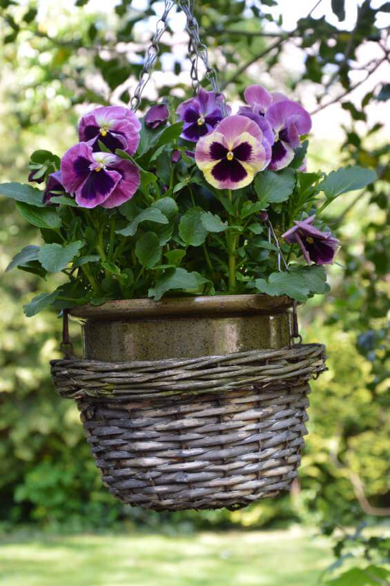 Eye-catching flower compositions in hanging pots - 33 amazing ideas for ...