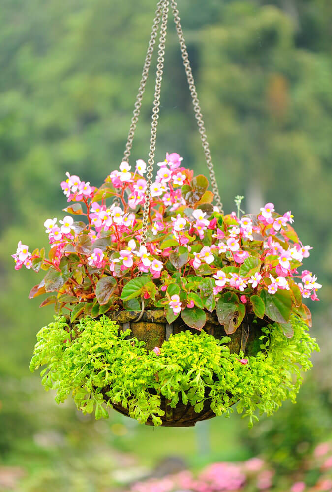 Eye-catching flower compositions in hanging pots - 33 amazing ideas for ...