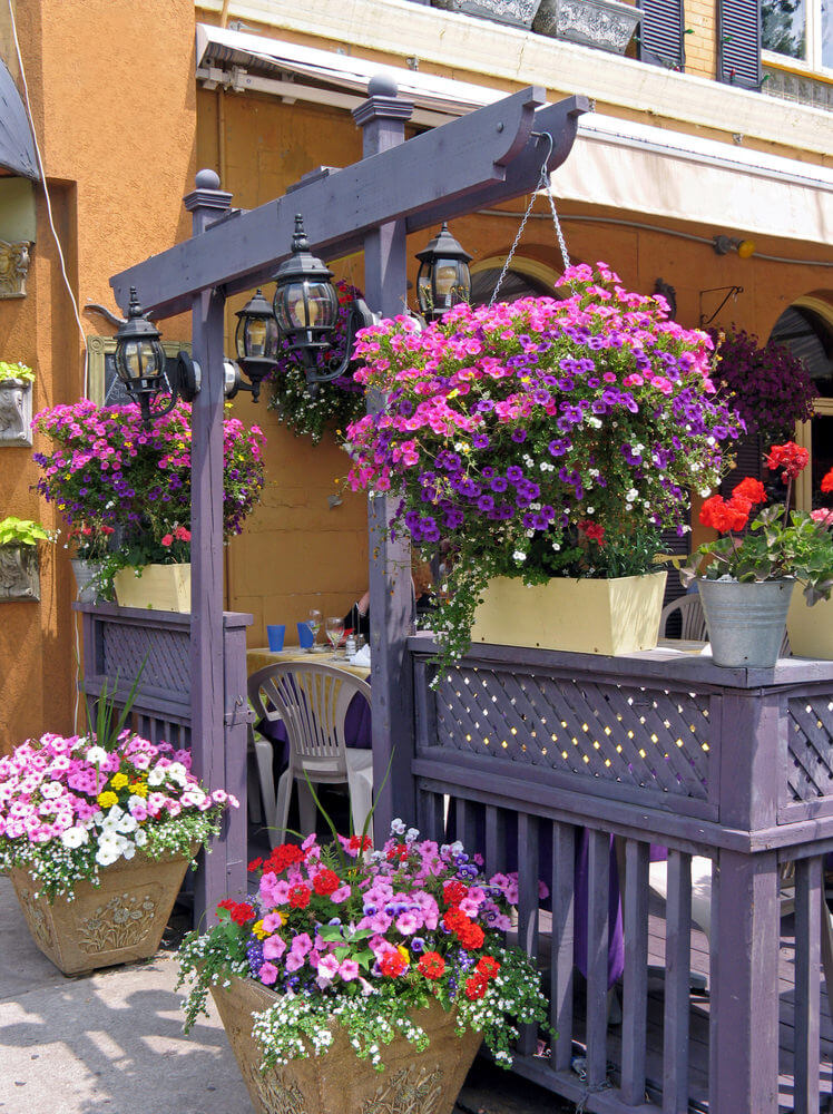 Eye-catching flower compositions in hanging pots - 33 amazing ideas for ...