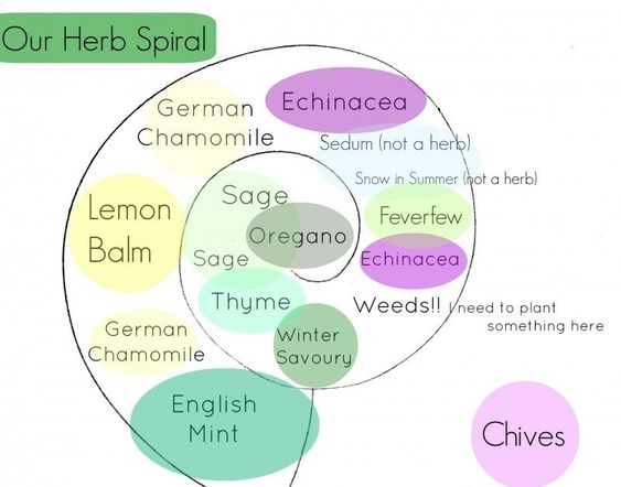 How to plant spiral herbal gardens correctly - list with suitable ...
