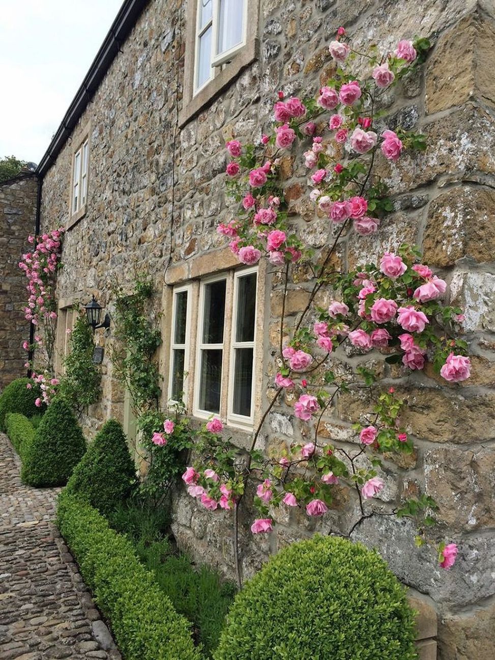 Wonderful ideas for fabulous decorations in the garden with climbing ...