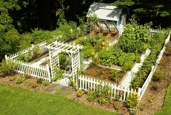 39 ideas for a great DIY vegetable garden - what do you need to know ...