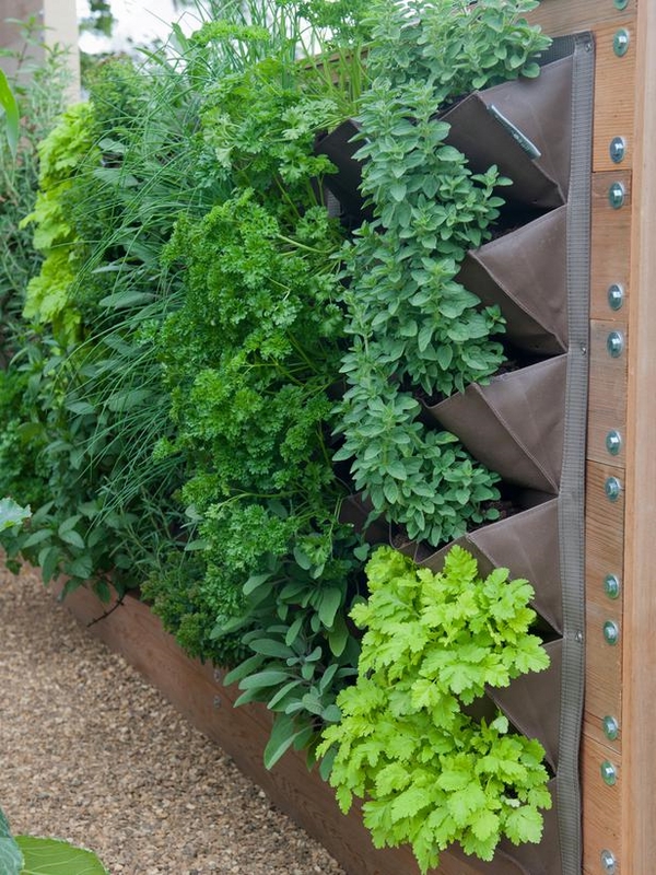 39 ideas for a great DIY vegetable garden - what do you need to know ...