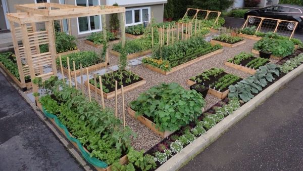 39 ideas for a great DIY vegetable garden - what do you need to know ...
