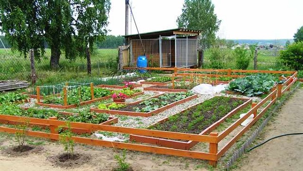 39 ideas for a great DIY vegetable garden - what do you need to know ...