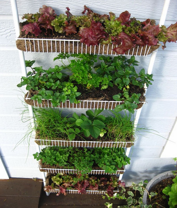 39 ideas for a great DIY vegetable garden - what do you need to know ...