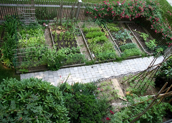 39 ideas for a great DIY vegetable garden - what do you need to know ...