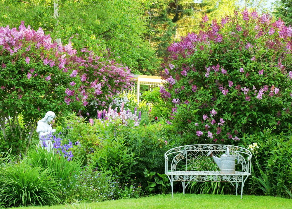 Cozy-spring mood in the garden - amazing ideas | My desired home