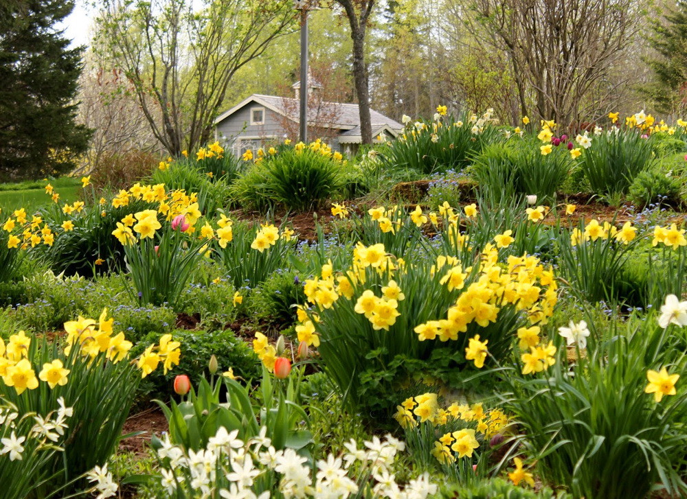 Cozy-spring mood in the garden - amazing ideas | My desired home